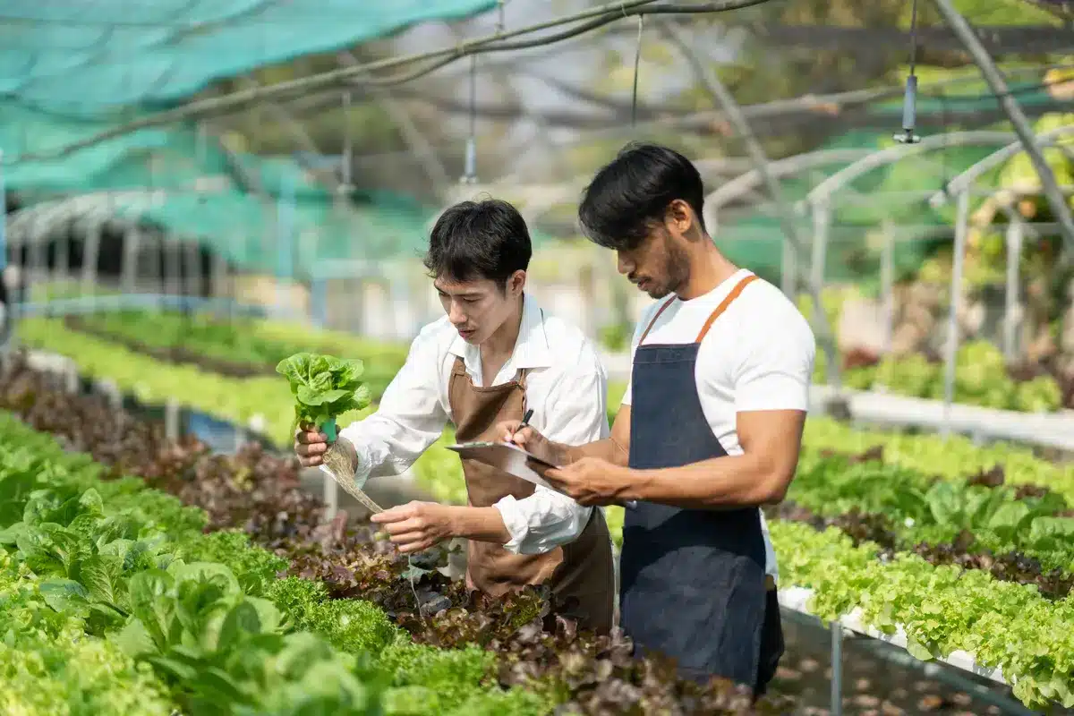 Farm Worker - Recruitment Agency in Toronto